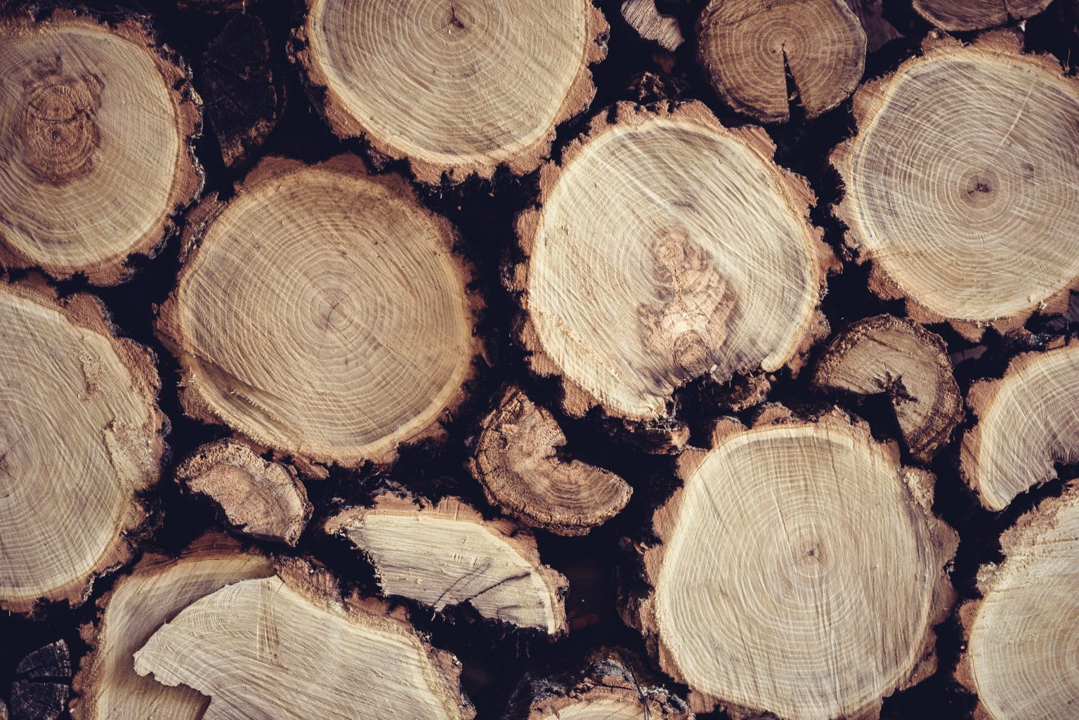 Wood Cribbing in Construction | AerialLiftCertification.com